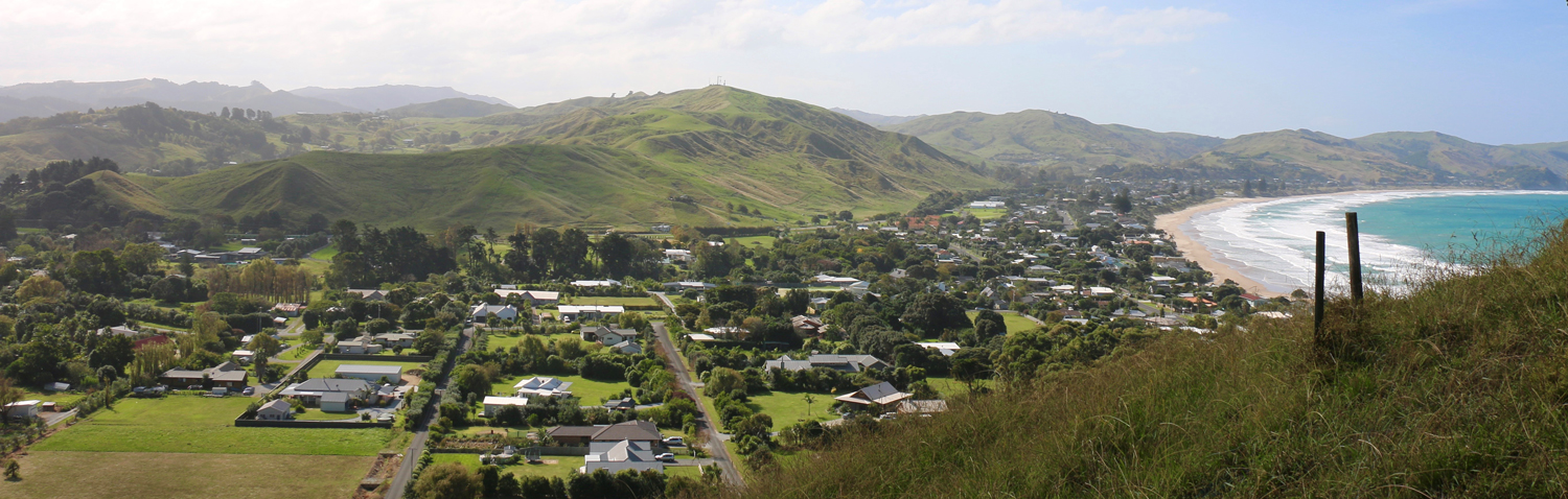 Dangerous, Affected and Insanitary Buildings Policy | Participate